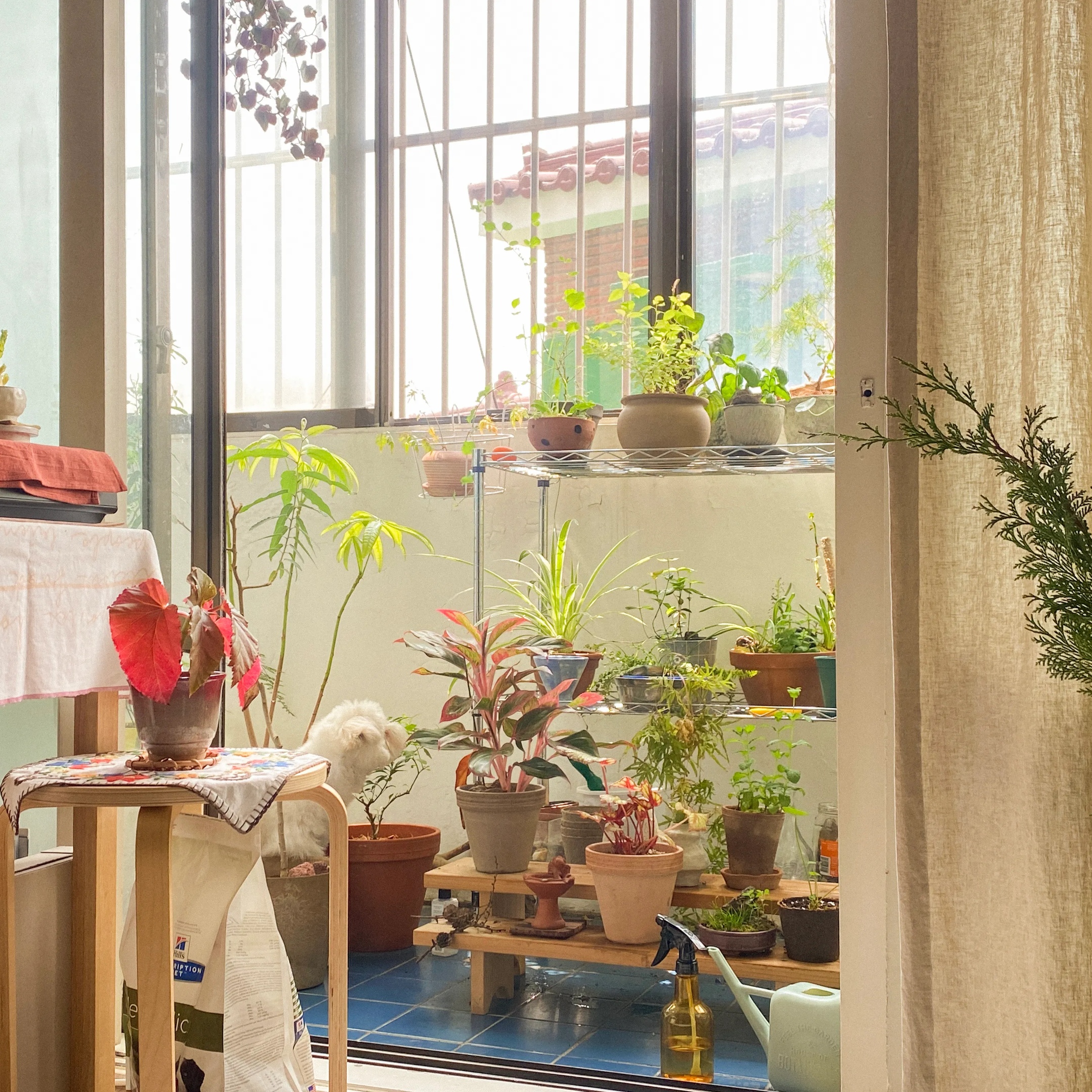 자연과 살아요🌿 브랜드 디자이너가 꾸린 1평 정원 라이프스타일 슈퍼앱 오늘의집