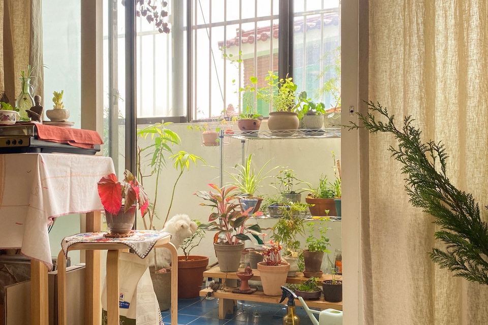 자연과 살아요🌿 브랜드 디자이너가 꾸린 1평 정원 라이프스타일 슈퍼앱 오늘의집
