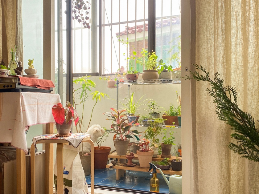 자연과 살아요🌿 브랜드 디자이너가 꾸린 1평 정원 라이프스타일 슈퍼앱 오늘의집
