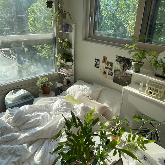 7평 원룸 속 나만의 작은 숲을 꿈꾸며🌿 라이프스타일 슈퍼앱 오늘의집