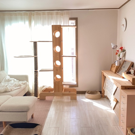 야옹이들과 함께 사는 요리사이자 집사의 내추럴 하우스 라이프스타일 슈퍼앱 오늘의집