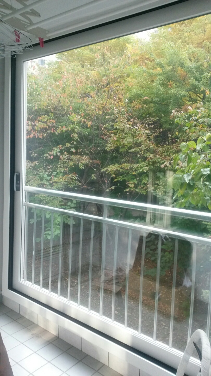 분당 구미동 무지개 마을 LG 2단지 38PY | 라이프스타일 슈퍼앱, 오늘의집