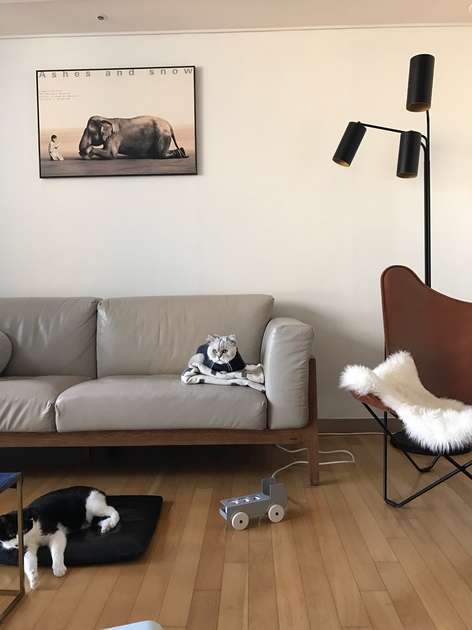 kong._.ja 님의 라이프스타일 | 라이프스타일 슈퍼앱, 오늘의집