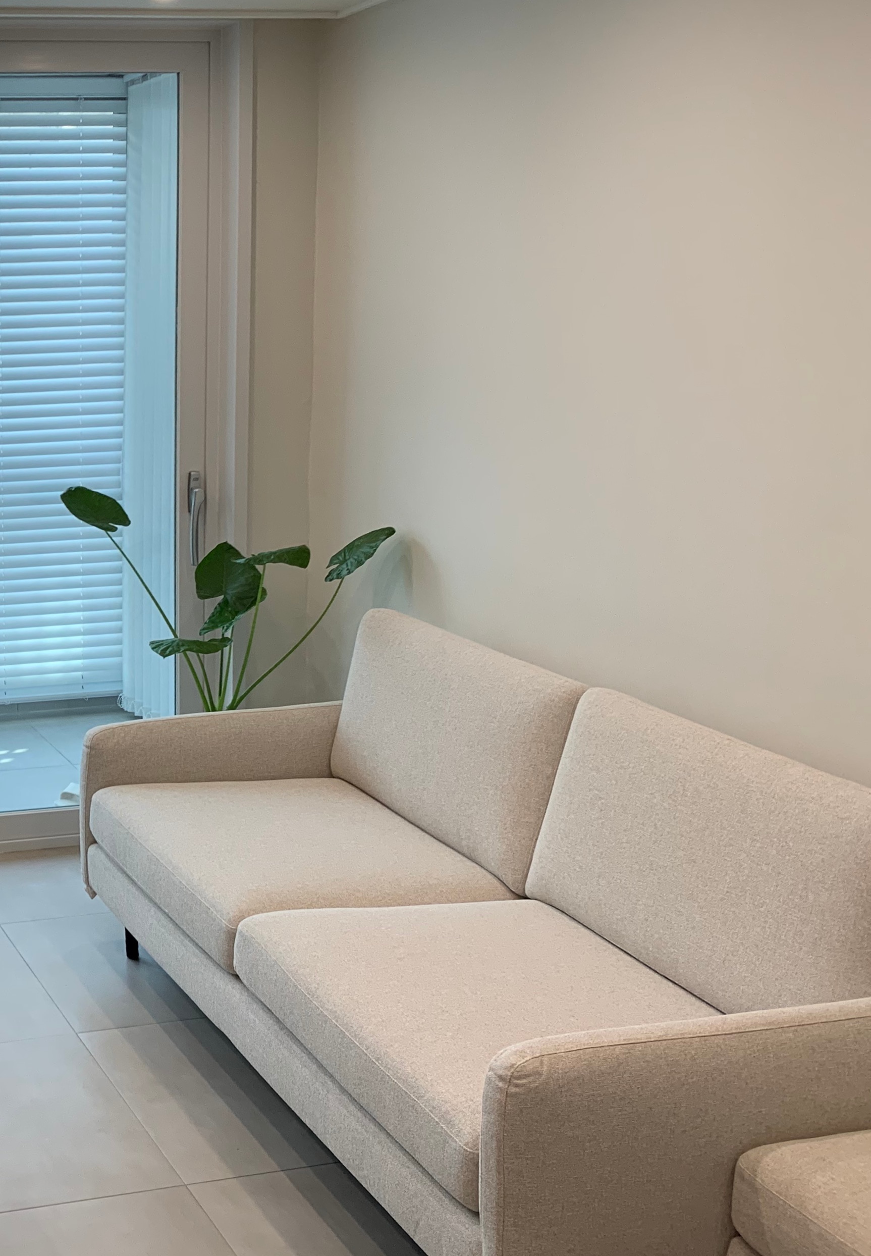 '베이직 시리즈 DK207 3인용 풀커버 패브릭 소파' 제품으로 꾸민 유저들의 스타일링샷 | 오늘의집 유저들의 집꾸미기