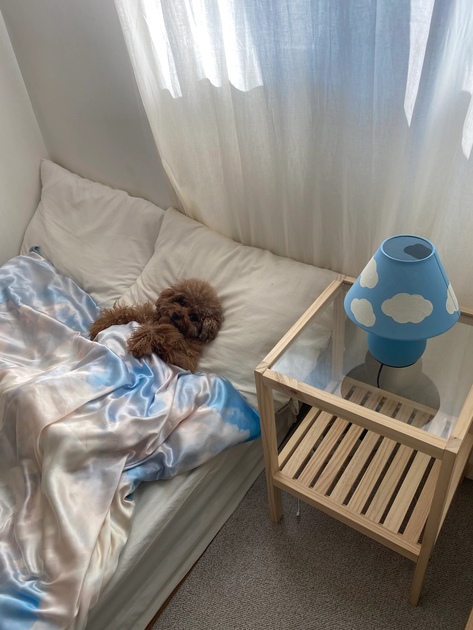 lazy._.dave 님의 라이프스타일 | 라이프스타일 슈퍼앱, 오늘의집