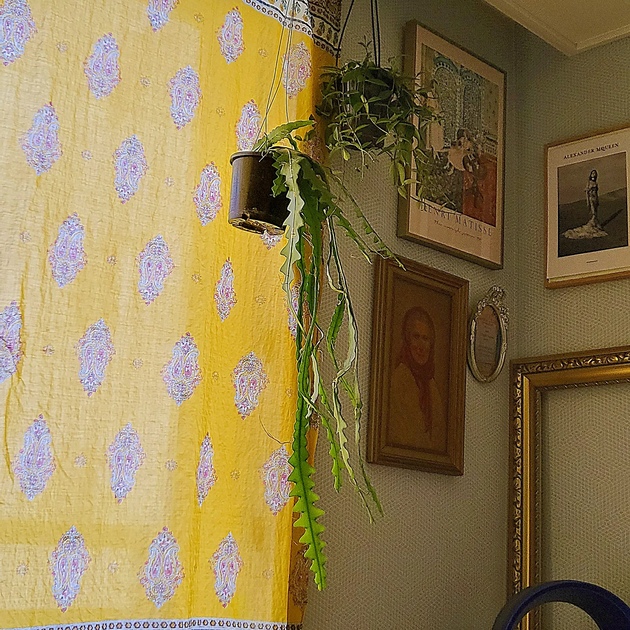 niz_story 님의 라이프스타일 | 라이프스타일 슈퍼앱, 오늘의집