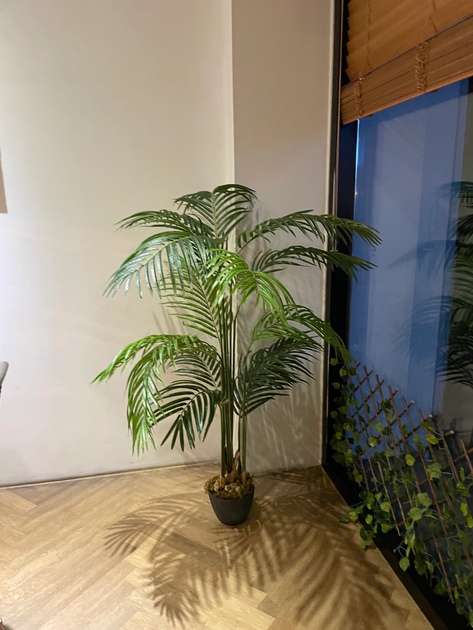 Kdkdkd 님의 라이프스타일 | 라이프스타일 슈퍼앱, 오늘의집