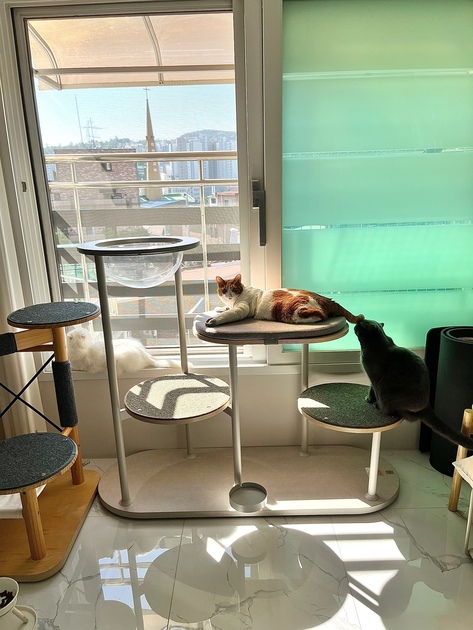 Eunsol Lee 님의 라이프스타일 | 라이프스타일 슈퍼앱, 오늘의집