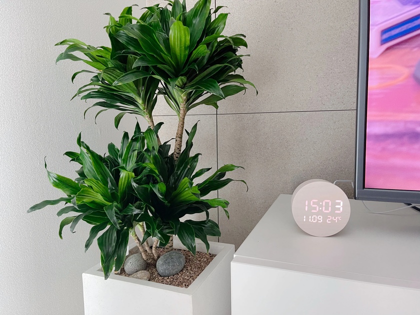 roroK 님의 라이프스타일 | 라이프스타일 슈퍼앱, 오늘의집