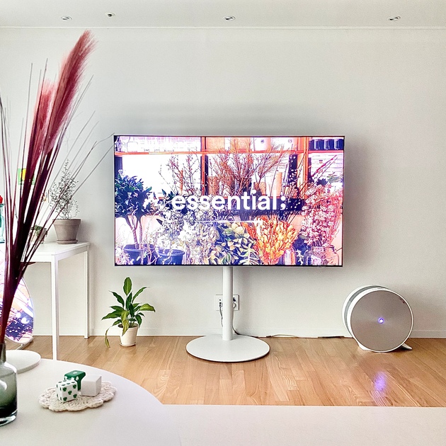 bamtol_lemon 님의 라이프스타일 | 라이프스타일 슈퍼앱, 오늘의집