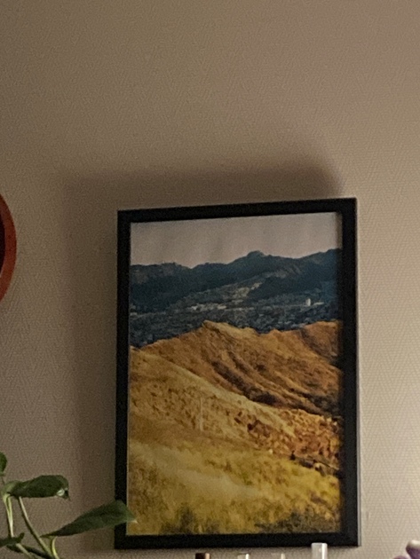 oioh 님의 라이프스타일 | 라이프스타일 슈퍼앱, 오늘의집