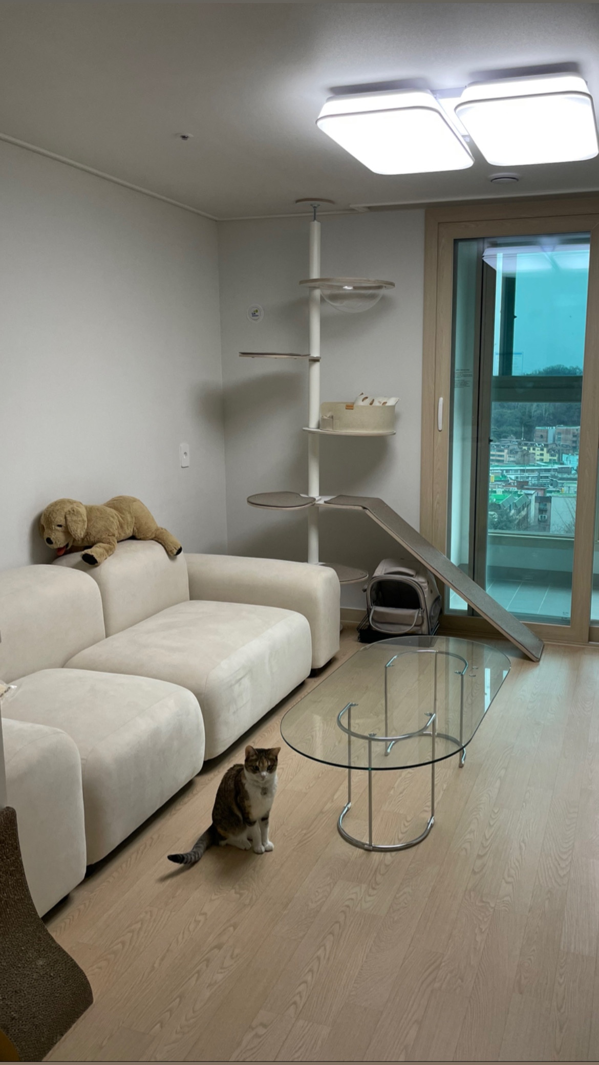 glo_ria 님의 라이프스타일 | 라이프스타일 슈퍼앱, 오늘의집