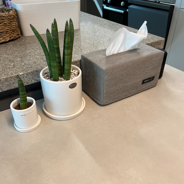 Dani_v 님의 라이프스타일 | 라이프스타일 슈퍼앱, 오늘의집