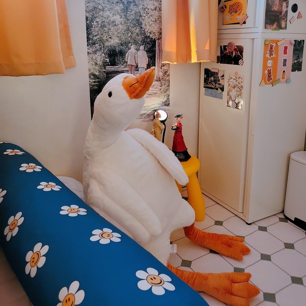 hshssh 님의 라이프스타일 | 라이프스타일 슈퍼앱, 오늘의집