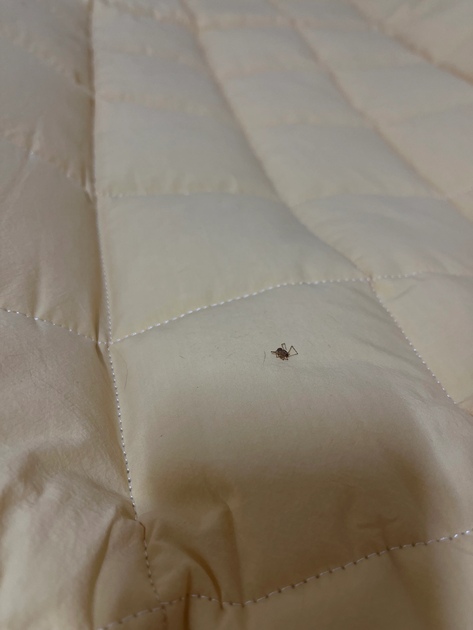 heeeie 님의 라이프스타일 | 라이프스타일 슈퍼앱, 오늘의집