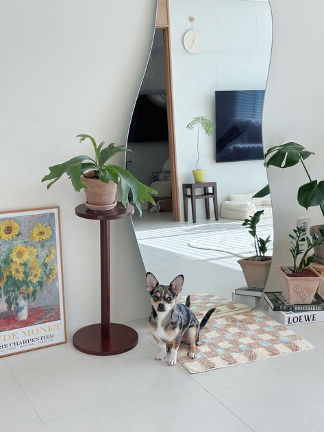 uri_home_ 님의 라이프스타일 | 라이프스타일 슈퍼앱, 오늘의집