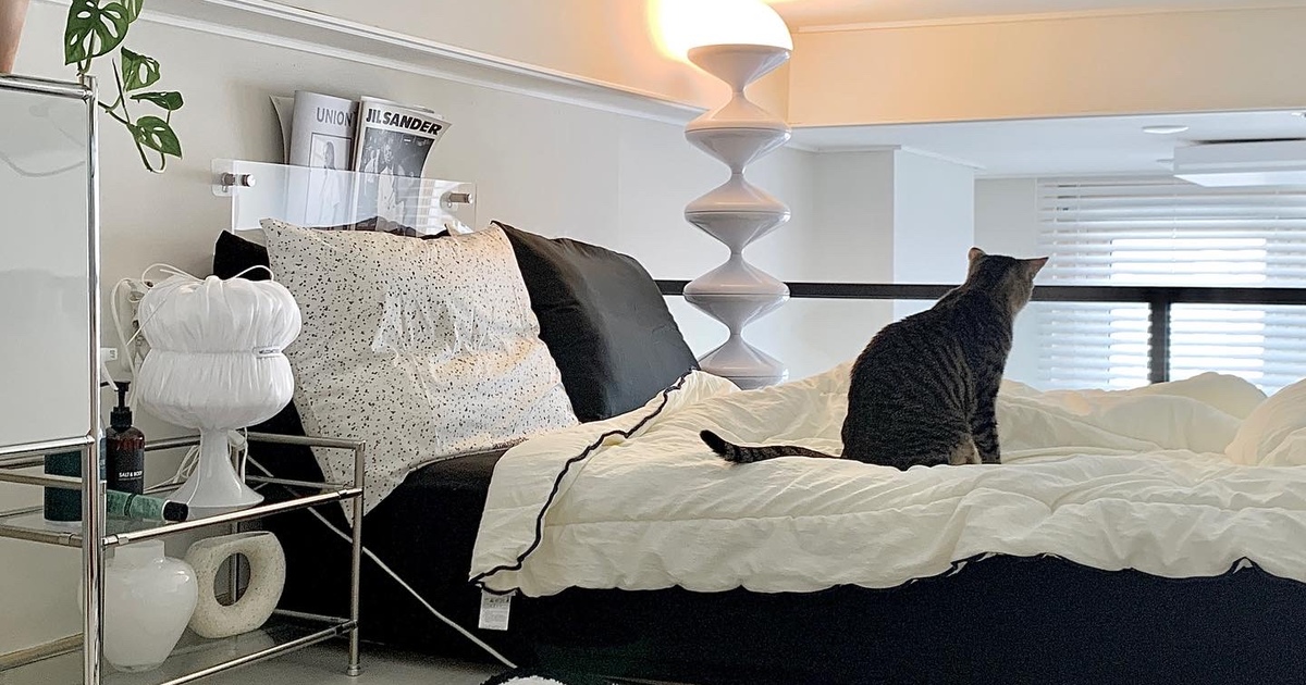 French Country Cat Scratcher Idea Photos Collection – Styling Tips by ...