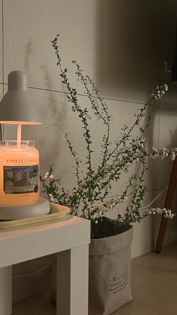 uryr 님의 라이프스타일 | 라이프스타일 슈퍼앱, 오늘의집