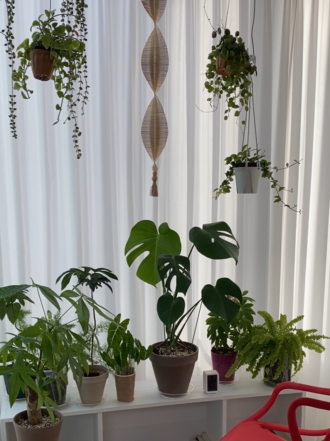 j.keep_ggoing_green 님의 라이프스타일 | 라이프스타일 슈퍼앱, 오늘의집