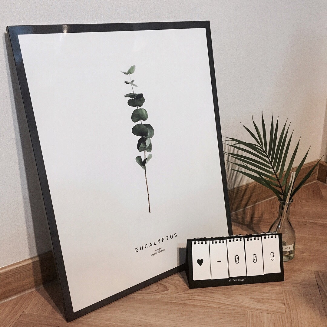 Min Sun Lee 님의 라이프스타일 | 라이프스타일 슈퍼앱, 오늘의집