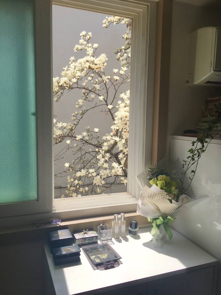 dkdid 님의 라이프스타일 | 라이프스타일 슈퍼앱, 오늘의집