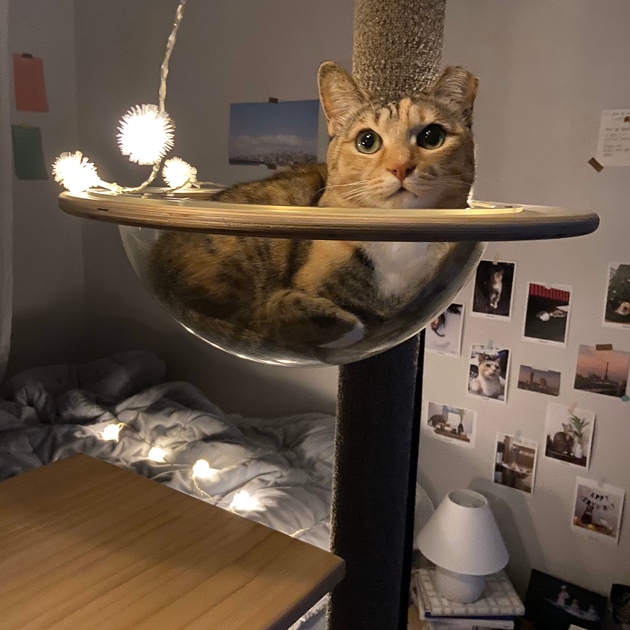 jane.xoxo 님의 라이프스타일 | 라이프스타일 슈퍼앱, 오늘의집