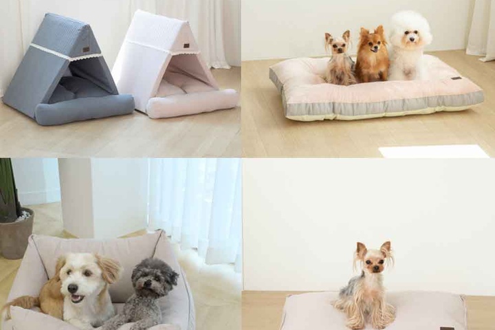 강아지 리빙 강아지 고양이 국내생산 순면 하우스방석 쿠션 모음 오늘의집 쇼핑