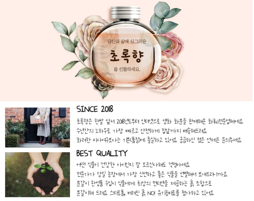 식물 클리핑로즈마리 크리핑 보라색꽃피는로즈메리 플랜테리어 인테리어화분 반려식물 오늘의집 쇼핑