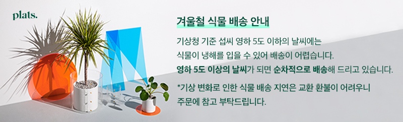 화병·화분 행잉 식물 화분 팟커버 댕글dangle 6colors 2size 오늘의집 쇼핑