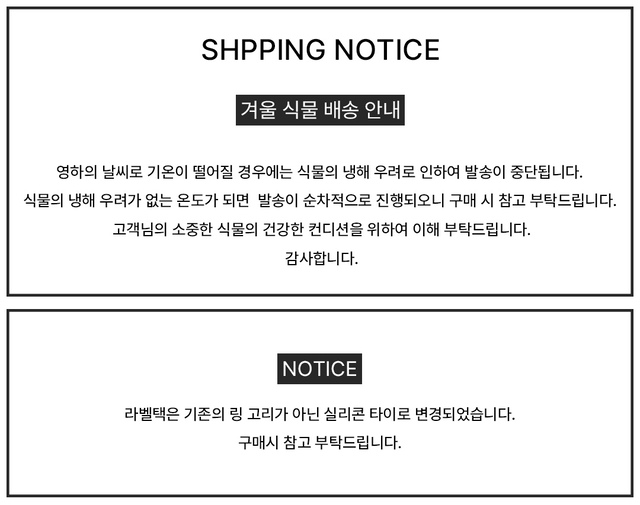 식물 쿠페아 중 레트로 린넨 와이어 바스켓 17cm 오늘의집 쇼핑