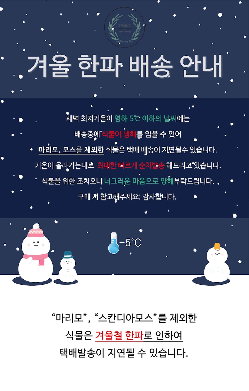 꽃다발·플라워박스 프리지아 튤립 꽃다발 가장 먼저 피는 봄꽃 생화 오늘의집 쇼핑