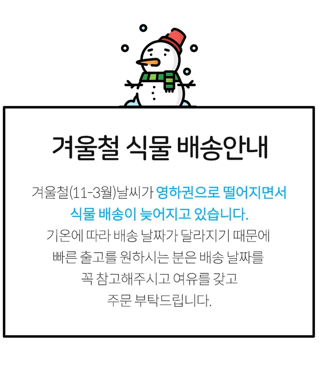 식물 데모루 펄멈 디모르포세카 소형기본포트 실내공기정화식물 꽃화분 소형 오늘의집 쇼핑