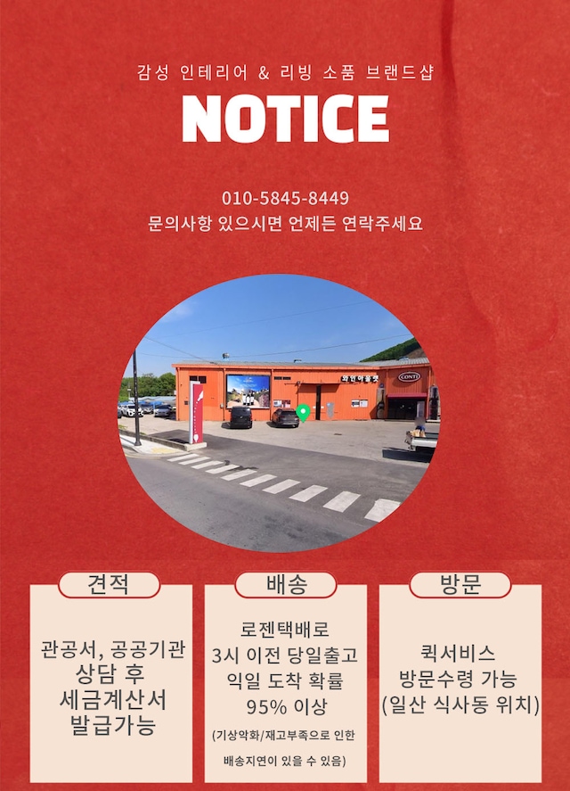 식물 이오난사 공기정화식물 틸란드시아 유리잔 세트 오늘의집 쇼핑