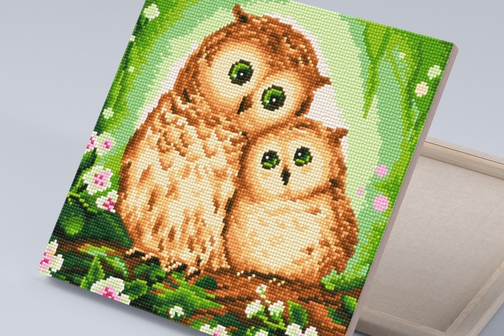 Diy보석십자수 Diy캔버스형 보석십자수 30x30cm 꽃과부엉이 오늘의집 쇼핑