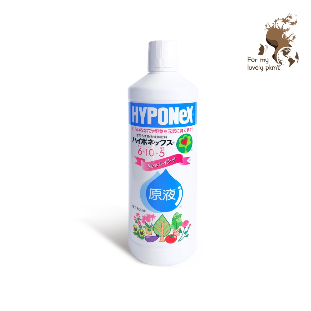 가드닝용품 하이포넥스 레이쇼 800ml 필수 영양소 복합비료 액비 식물영양제 발근제 오늘의집 쇼핑