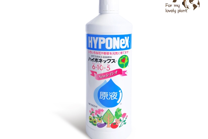 가드닝용품 하이포넥스 레이쇼 800ml 필수 영양소 복합비료 액비 식물영양제 발근제 오늘의집 쇼핑