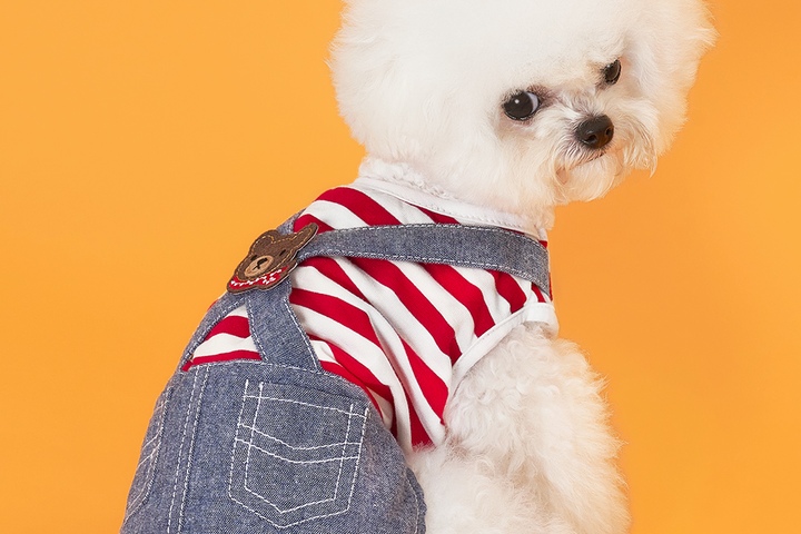 강아지 패션 > 반려견 홍홍 청치마 (DG184) | 오늘의집 쇼핑