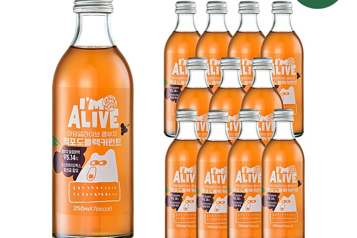 탄산음료 > 아임얼라이브 콤부차 적포도 블랙커런트 250mlx12병 | 오늘의집 쇼핑
