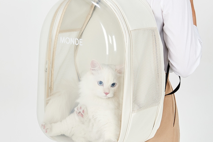 고양이 패션·외출 강아지 고양이 투명백팩 이동가방 투명창 이동장 오늘의집 쇼핑