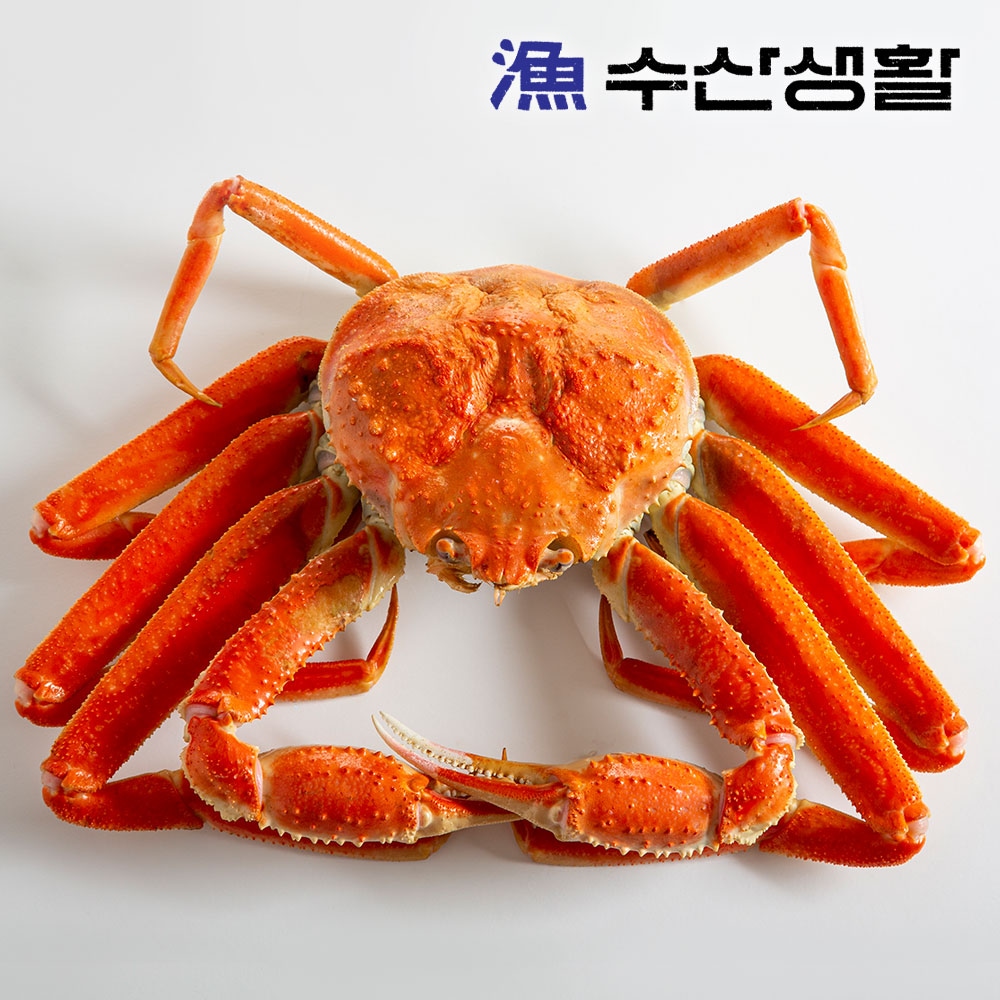 수산·건해산 수율 80이상 러시아 마가단 대게 1kg 1마리 자숙 후 발송 오늘의집 쇼핑