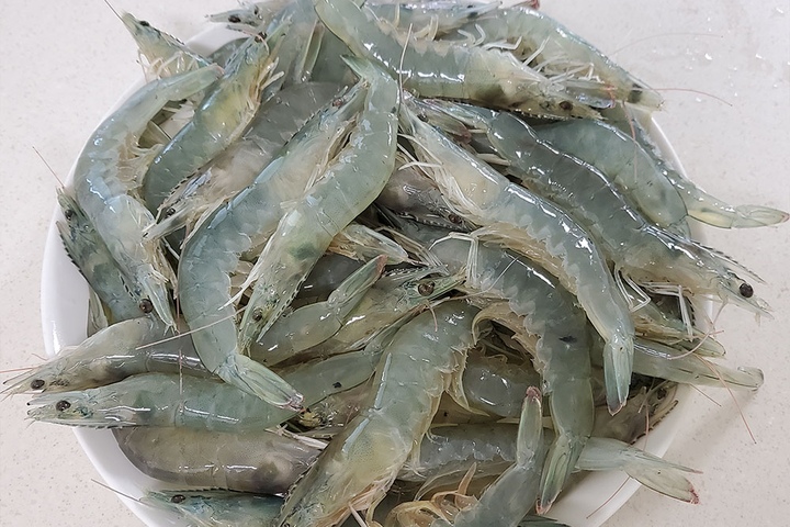 수산·건해산 신안 활 흰다리새우 1kg 30 35미 오늘의집 쇼핑