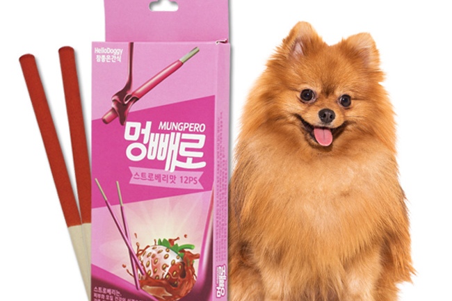강아지 사료·간식 헬로도기 오래먹는 강아지껌 강아지이갈이간식 멍빼로 스트로베리 12개입 오늘의집 쇼핑