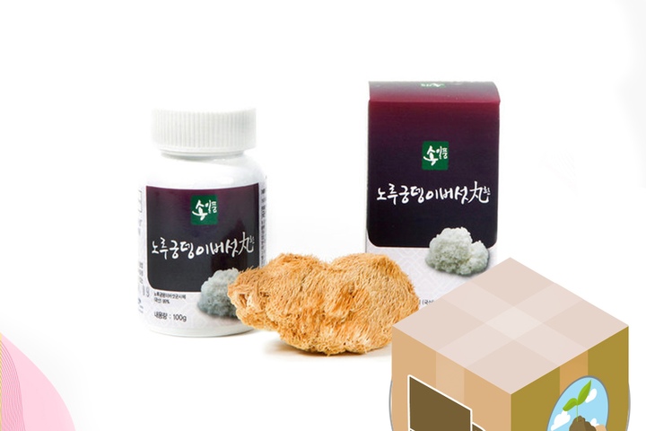 건강즙·환·영양식 노루궁뎅이버섯환 100g 오늘의집 쇼핑