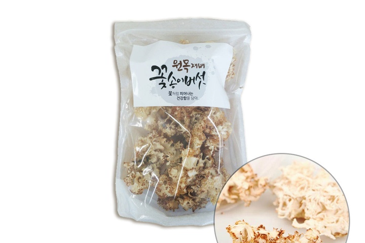 건강즙·환·영양식 건조 꽃송이버섯 100g 오늘의집 쇼핑
