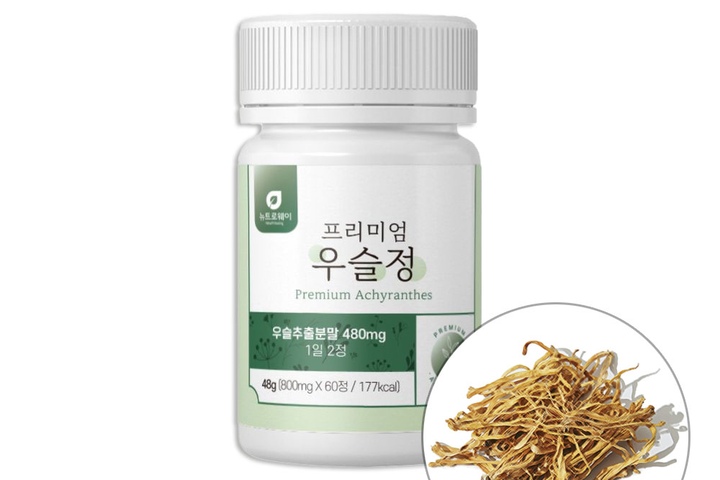 건강즙·환·영양식 프리미엄우슬정 60정 오늘의집 쇼핑