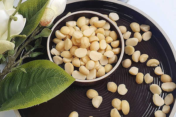 육포·견과·말랭이 생 마카다미아 호주산 500g 오늘의집 쇼핑