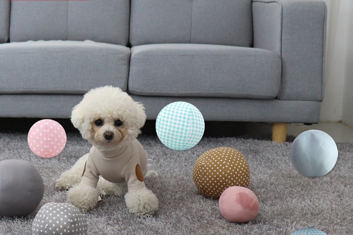 강아지 장난감 > 반려동물 훈련용품 펫플레이 봉제공 3size | 오늘의집 쇼핑