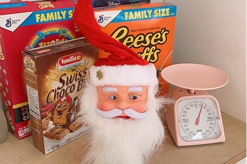 워터볼·오브제 Singing Santa Claus 노래부르는 산타 오늘의집 쇼핑