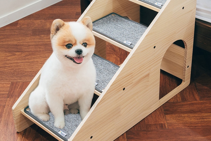 강아지 리빙 강아지 원목 4단 계단 논슬립 슬라이드 오늘의집 쇼핑