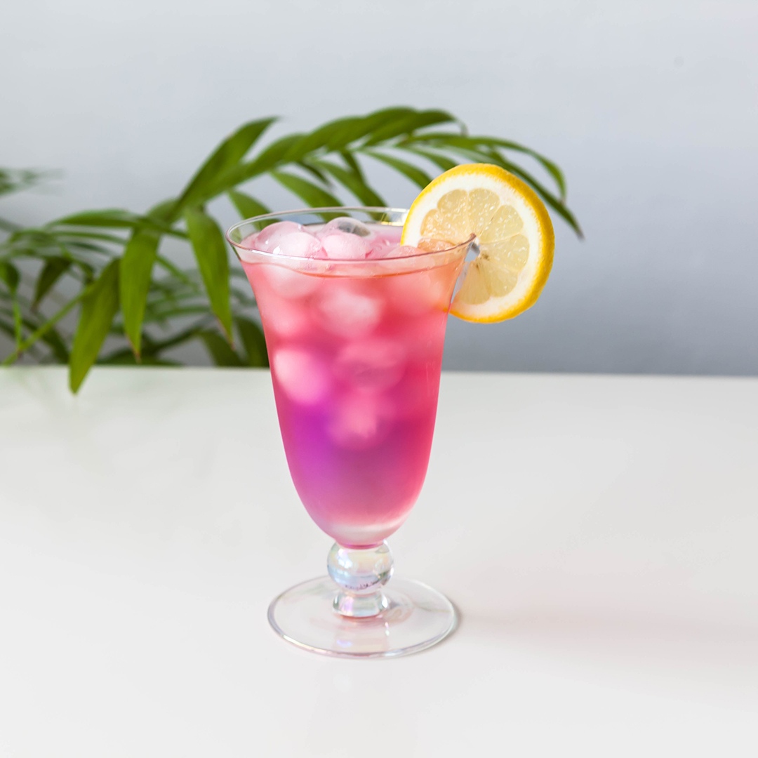 유리컵·물컵 > 라마틴 플로트 오로라 롱 고블렛잔 300ml / 샴페인 맥주 와인 음료 글라스 | 오늘의집 쇼핑